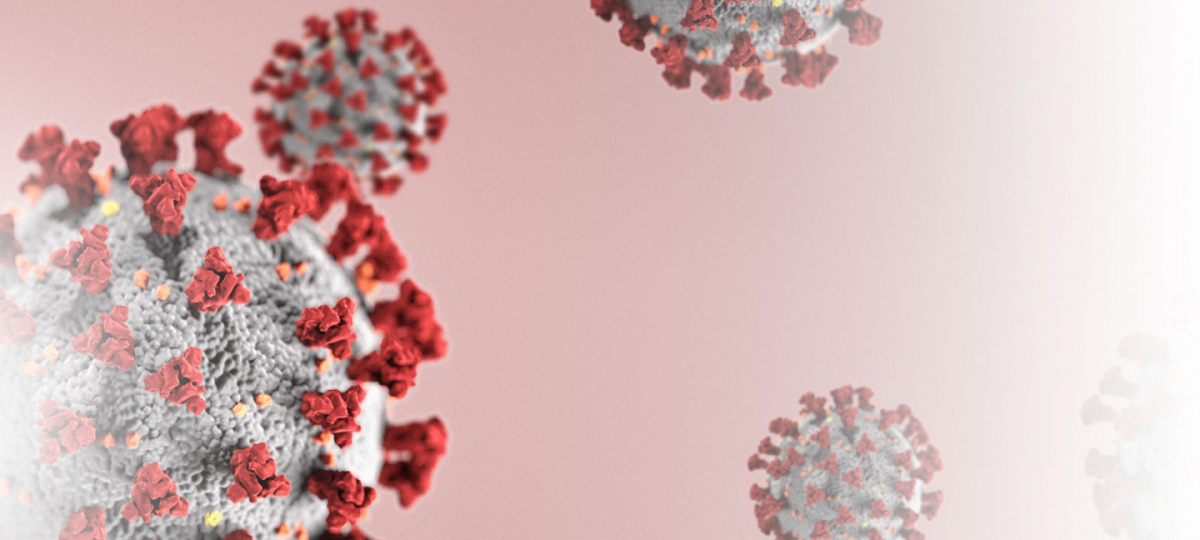 Aktuelles • LABOR LEISCH